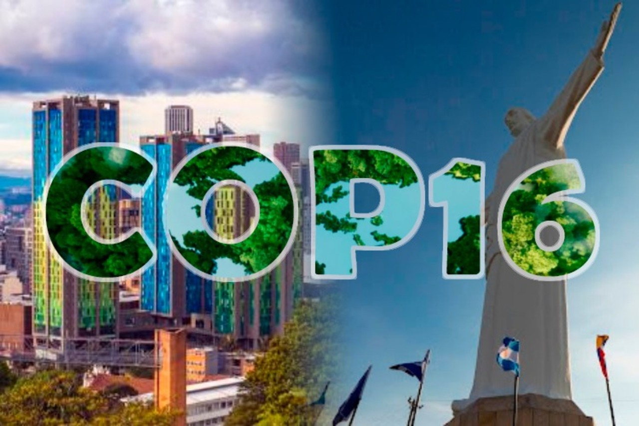 Biodiversity COP 16: Important Agreement Reached Towards Goal of ...